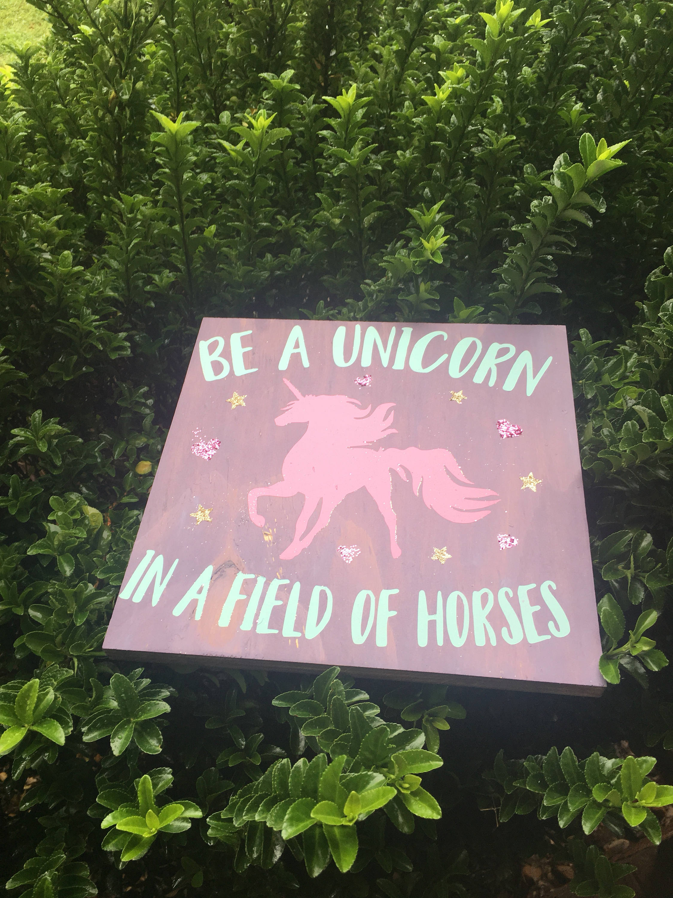 Be A Unicorn In A Field Of Horses 12x12 Hand Painted Wood Sign. on Luulla